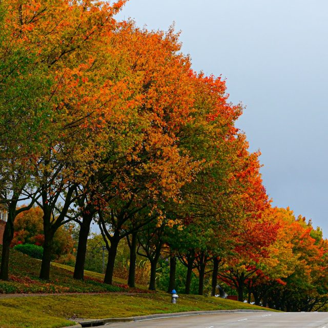 Property Management Done Right - Vertex Professional Group